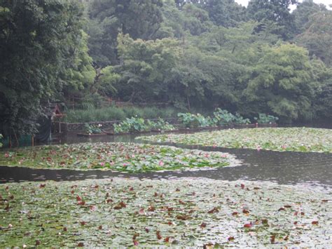 My Poorly Titled Japan Blog A Blog About Living In Japan That Needs A