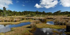 What Is An Estuary Definition Of Estuaries With Examples