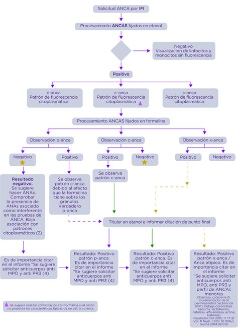 Algoritmo De DiagnÓstico De Vasculitis Autoinmune Con Cytobead Annar