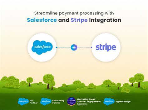 Seamless Salesforce Api Integration With External Third Party Systems Apps Upwork