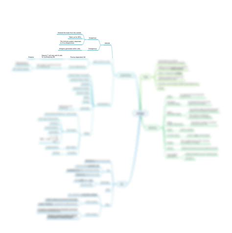 Solution Antige Immunology Mind Map Studypool