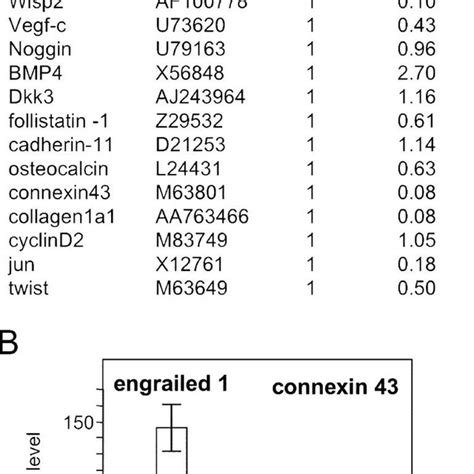 Wnt Target Genes Are Down Regulated In Sox2 Expressing Osteoblasts A