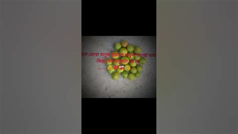 মানুষ হারালে মানুষ পাওয়া যায় কিন্তু সেই মানুষটা কে না Whatsapp Status Short Video 📷📷