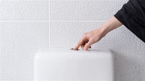 Are Napkins Safe To Flush If You Run Out Of Toilet Paper