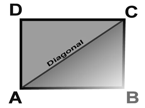 Polygon Object In Detail Cinema D Sdk Documentation