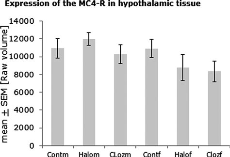 Expression Of The Melanocortin 4 Receptor Mc4r In Hypothalamic