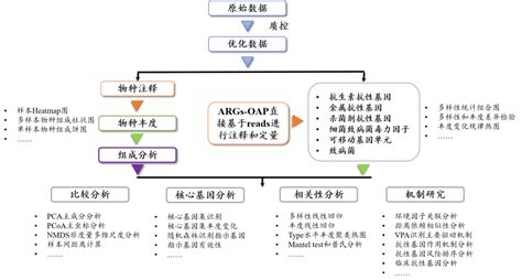 又双叒叕！五大数据库全方位注释，抗性宏基因组分析项目再次升级！宏基因组metal Database Csdn博客