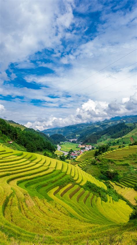 水稻梯田 稻田 水稻种植 Pixabay上的免费照片
