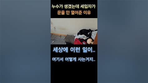 물이 새는데 세입자가 문을 안 열어준 이유콜라 중독 Youtube