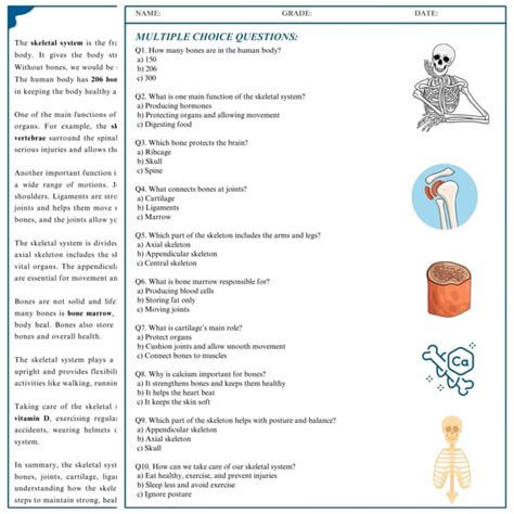 Skeletal System Reading Comprehension Human Body Bones Joints