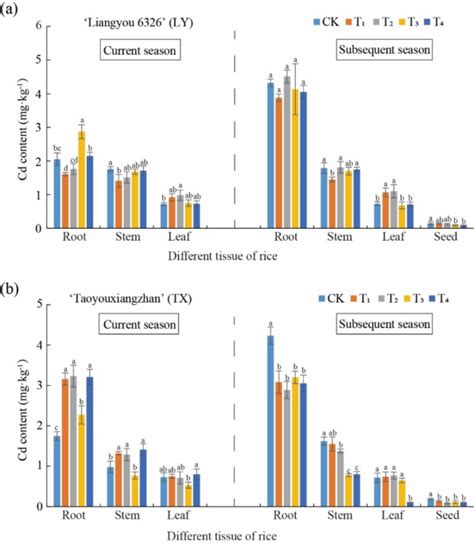 Exogenous Selenium Mitigates Cadmium Uptake And Accumulation In Two