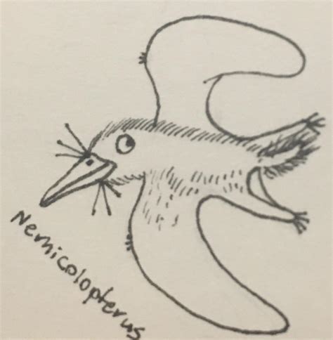 Anurognathus The Smallest Pterosaur R Naturewasmetal