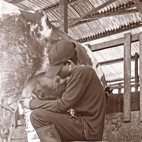 Enano Lg Enano10gv • Threads Say More