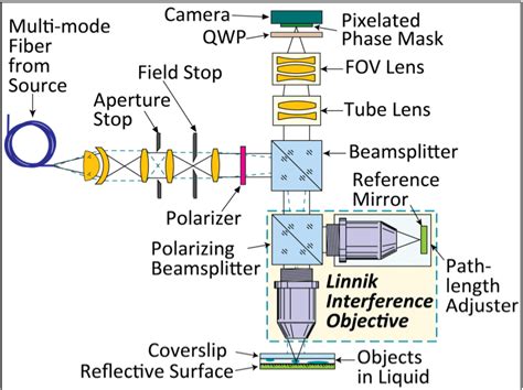 Optical Schematic Of Dynamic Interference Microscope Download