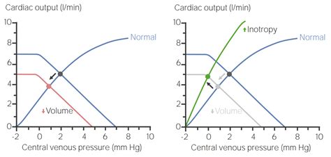 Venous Function Concise Medical Knowledge