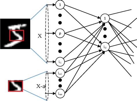 Illustration Of The Region Enhanced Ml Elm Input Download Scientific