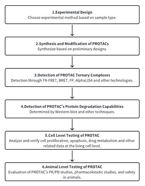 Protac Molecules Activity And Efficacy Evaluate Service Mtoz Biolabs