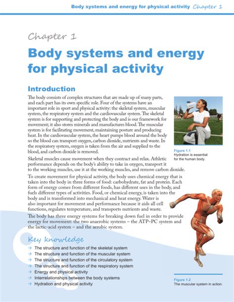 Body Systems And Energy For Physical Activity