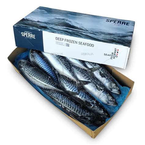 Скумбрия атлантическая с/г с/м 600+ Brodrene Sperre (Норвегия) 10 кг ...