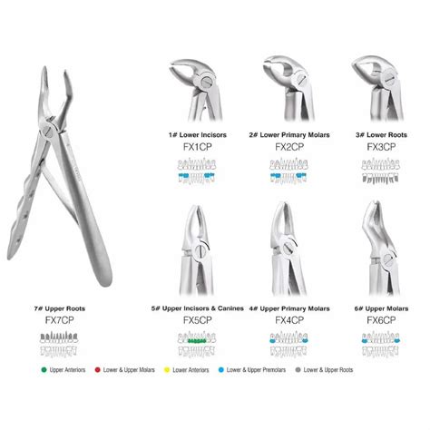 Gdc Extraction Forceps Pedo Set Of 7 At ₹ 5199kit Extraction Forcep