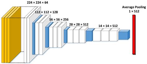Github Tolusophyclassification Algorithms Pytorch Algorithms For