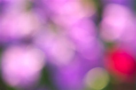 놀랍게도 아름 다운 특별 한 꽃 Bokeh 렌즈 흐림 효과 아름 다운 발렌타인의 날 기억 놀랄만큼 화려한 태국 정원 공원에서