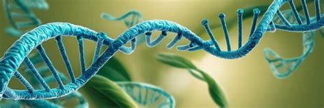 Na Helix Enlarged Model In Bright Colors And Spots Genetic Engineering Neural Networks Na Helix Enlarged Model In Bright Colors And Spots Genetic Engineering Neural Networks