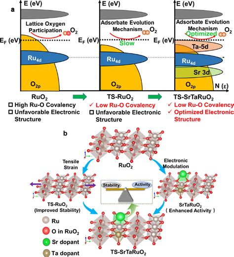 The Principle Of The Catalyst Design Concept A Respective Diagram Of Download Scientific