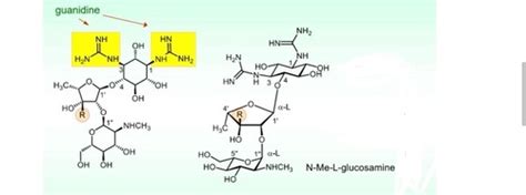 Structure Recognition Aminoglycosides Flashcards Quizlet