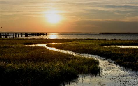 Nys Freshwater Wetlands Act Due For A Makeover Save The Great South Bay
