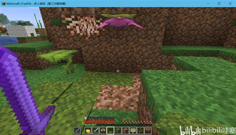 [我的世界]21w05a出大bug Mojang再出新预览版 哔哩哔哩