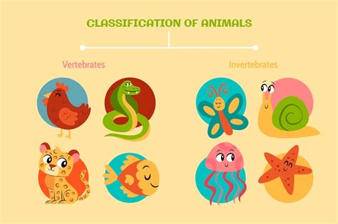 Images De Classification Animaux Téléchargement Gratuit Sur Freepik