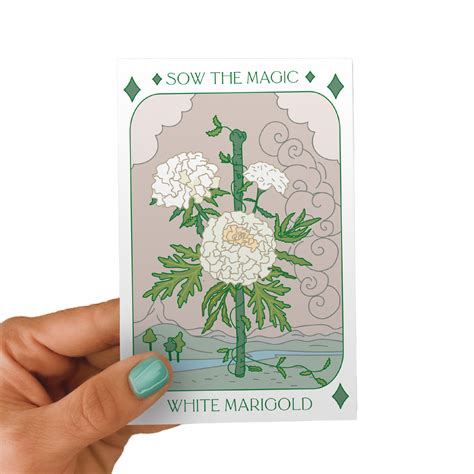 White Marigold Tarot Seed Packet Sow The Magic