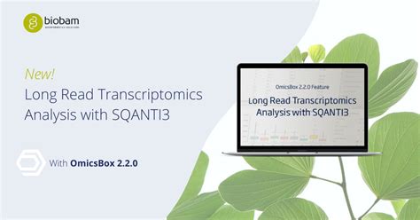 Enrique Presa Díez On Linkedin Transcriptome Analysis With Sqanti3