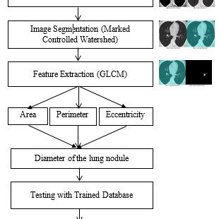 PDF Detection Of Lung Cancer From CT Scan Images Using GLCM And SVM