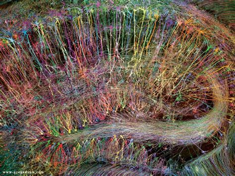 Brainbow Hippocampus In Color Sold Out Greg Dunn Design
