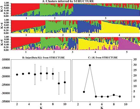 Genetic Structure Of 157 Side Oats Grama Plants Representing Wild