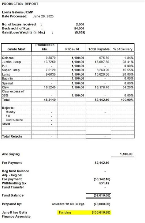 Create Automated Excel Reports And Dashboards By Janerheagella Fiverr