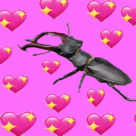 Cool Bug Facts Actualcoolbugfacts Tumblr Blog Tumlook