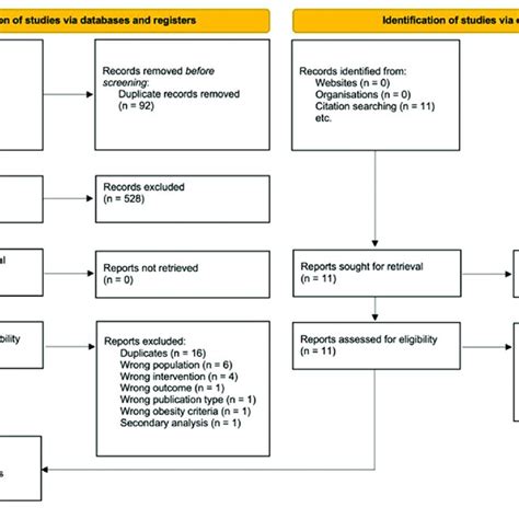 Flow Diagram Of The Eligibility Process Download Scientific Diagram