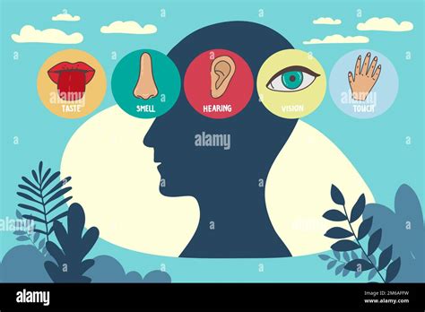 Five Human Senses Line Icons Set Vision Smell Hearing Touch Taste