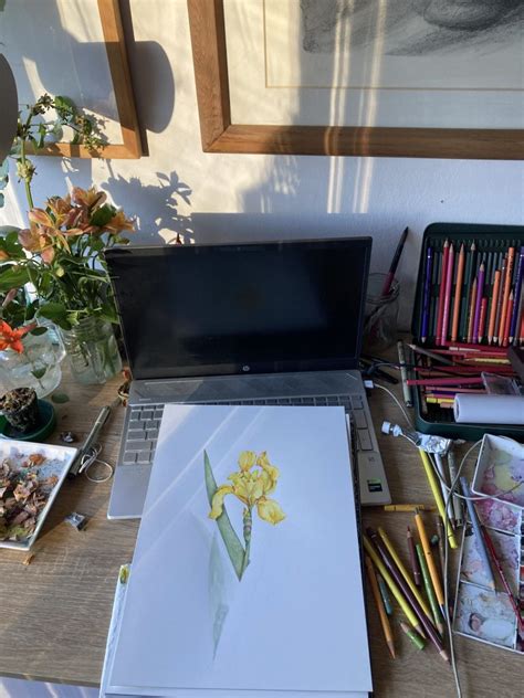 Taller De Dibujo Botánico Ilustrar Flores Con Lápices De Colores