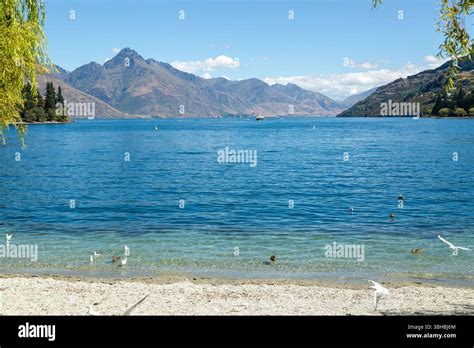 Queenstown Bay Beach And Lake Whakatipu On A Summers Day Looking