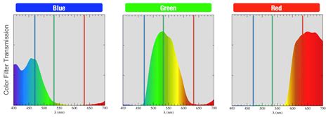 Getting To BT 2020 OLEDs Vs LCDs Display Daily