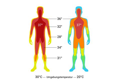 Körpertemperatur Welche Werte sind normal cosinuss