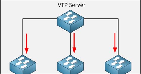 Vtp Vlan Trunking Protocol Seputar Teknologi