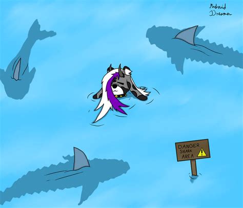 Sharks By Midrid Dreamer On Deviantart
