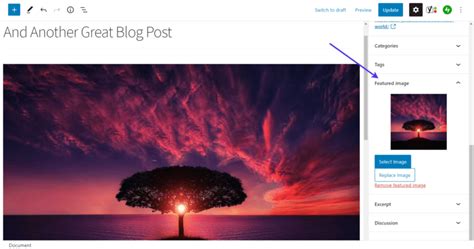 Fix WordPress Featured Image Not Showing Properly Or Not At All