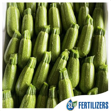 Sltec Fertilizers On Linkedin Fertilizer Fertiliser Farming