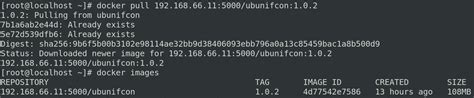 Docker镜像commit操作案例docker Commit Tag Csdn博客